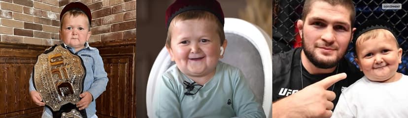 Hasbulla Magomedov - Net Worth, Wiki, Age, Career, Boyfriend, And New ...